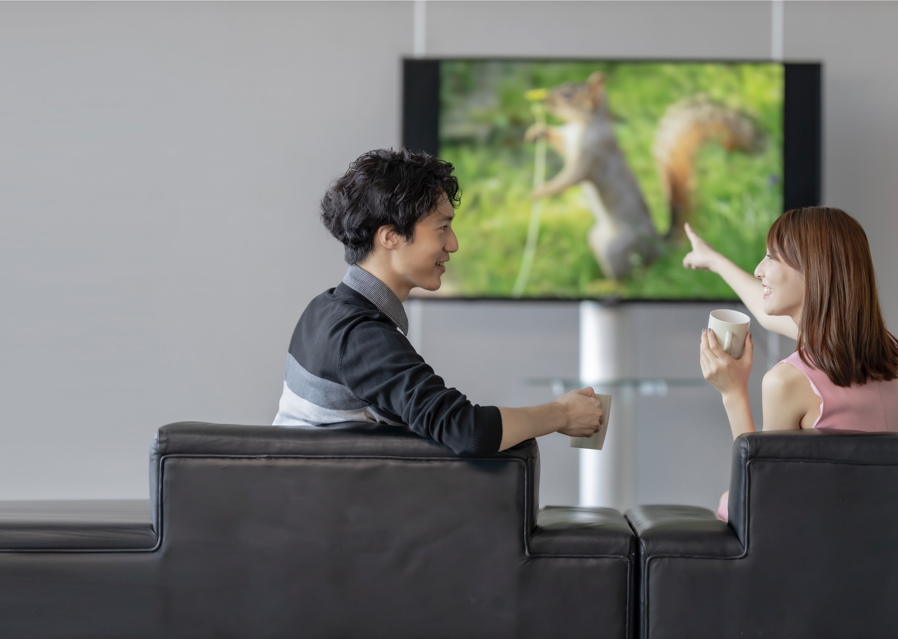 Solomon Systech (International) Limited